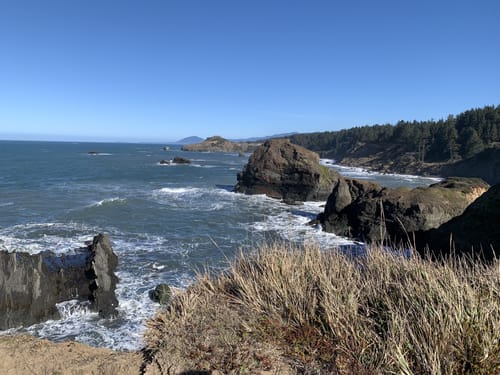 Best Hikes and Trails in Otter Point State Recreation Site | AllTrails