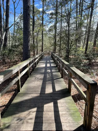 10 Best Hikes and Trails in First Landing State Park | AllTrails