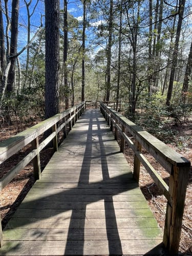 10 Best Hikes and Trails in First Landing State Park | AllTrails