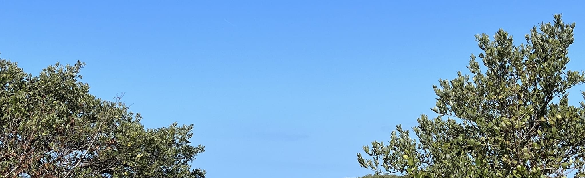 Cedar Key Museum Loop: 29 Reviews, Map - Florida | AllTrails