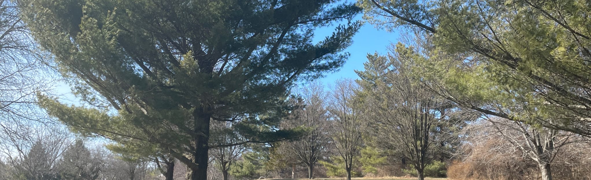 Conway Loop, Missouri - 56 Reviews, Map | AllTrails