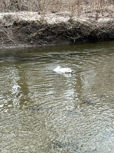 Best Hikes and Trails in Manhan River Conservation Area | AllTrails