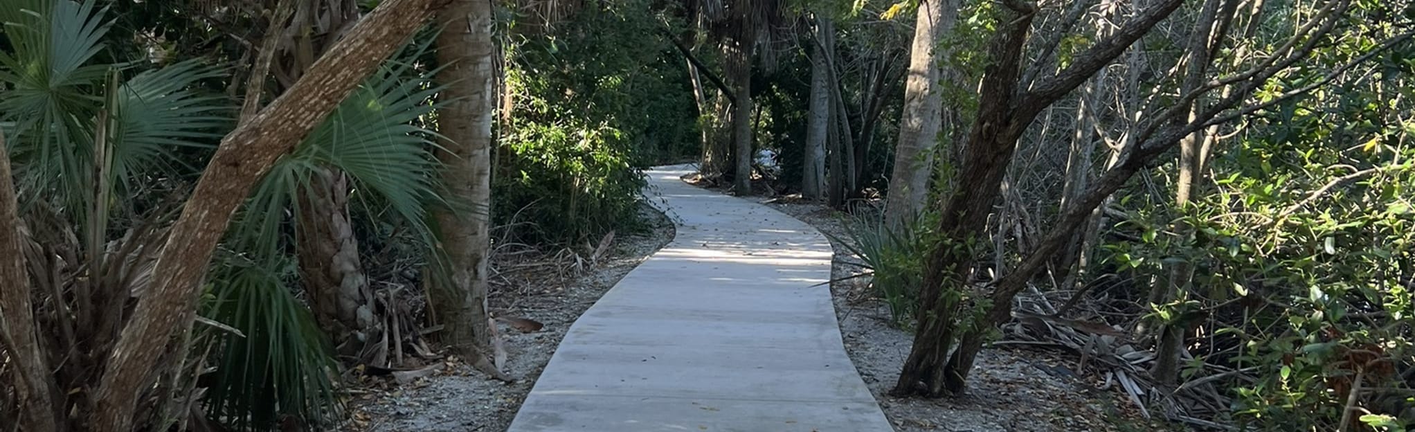 Lantana Nature Preserve Trail, 17 Fotos - Florida | AllTrails