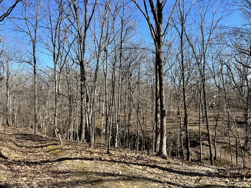 Best Hikes and Trails in Devil's Prop Nature Preserve | AllTrails