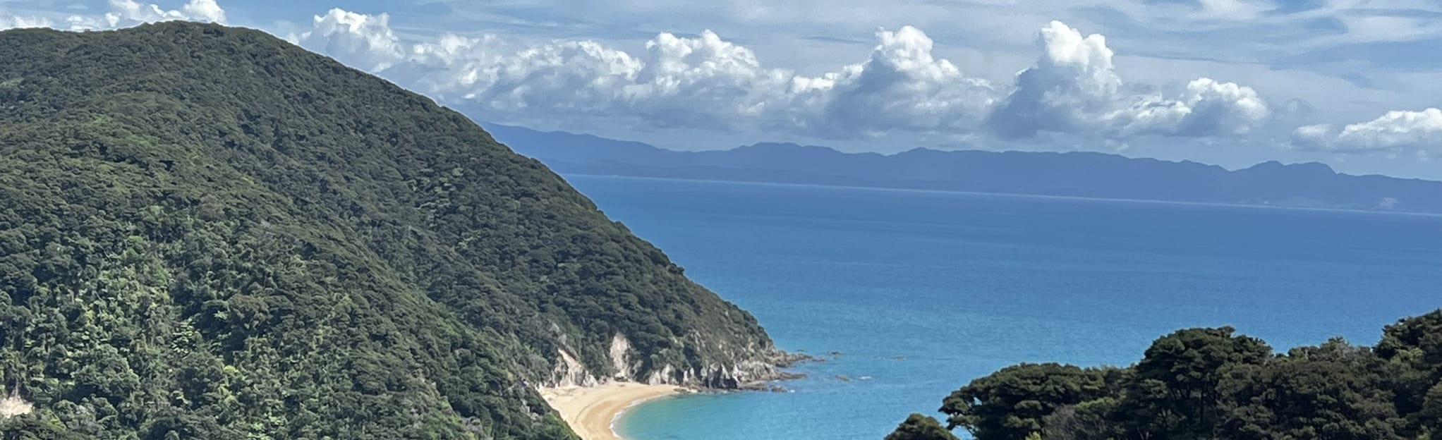 Separation Point Trail: 34 Reviews, Map - Nelson-Tasman, New Zealand ...