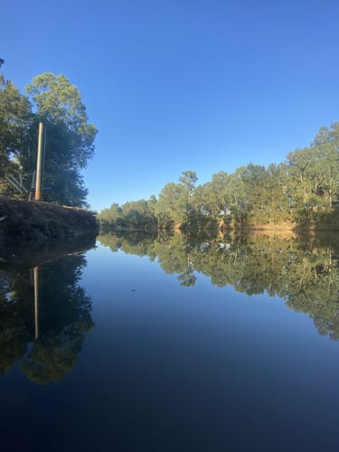 Best Hikes and Trails in Dubbo | AllTrails