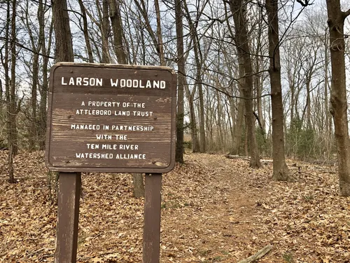 Best Hikes and Trails in Larson Woodland | AllTrails