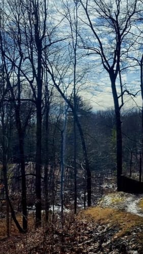 Best Hikes and Trails in Addison Oaks County Park | AllTrails