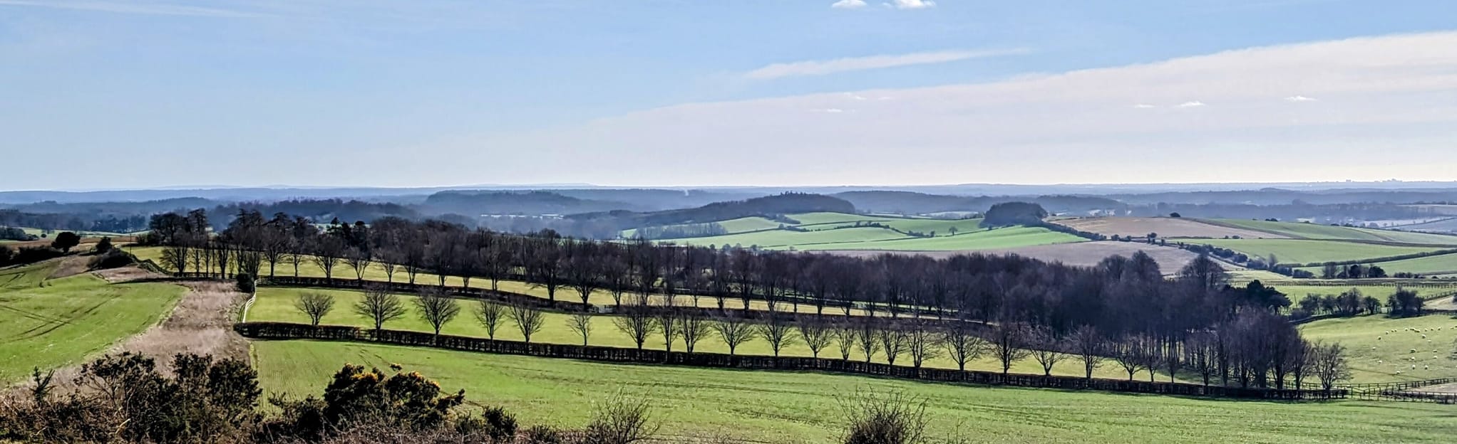 Pentridge and Martin Down Circular: 12 Reviews, Map - Wiltshire ...