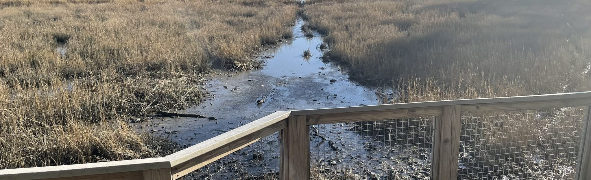 Thompson Island Trail, Delaware - 76 Reviews, Map | AllTrails