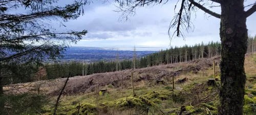 Best Hikes and Trails in Cruagh Wood | AllTrails