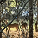 Kinder Farm Park Trail, Maryland - 1,115 Reviews, Map | AllTrails