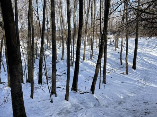 Best Hikes and Trails in Tyringham Cobble | AllTrails