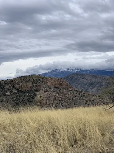 10 Best Hikes and Trails in Pusch Ridge Wilderness | AllTrails