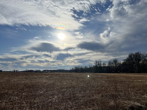 2023 Best Easy Trails in Mercer Meadows | AllTrails