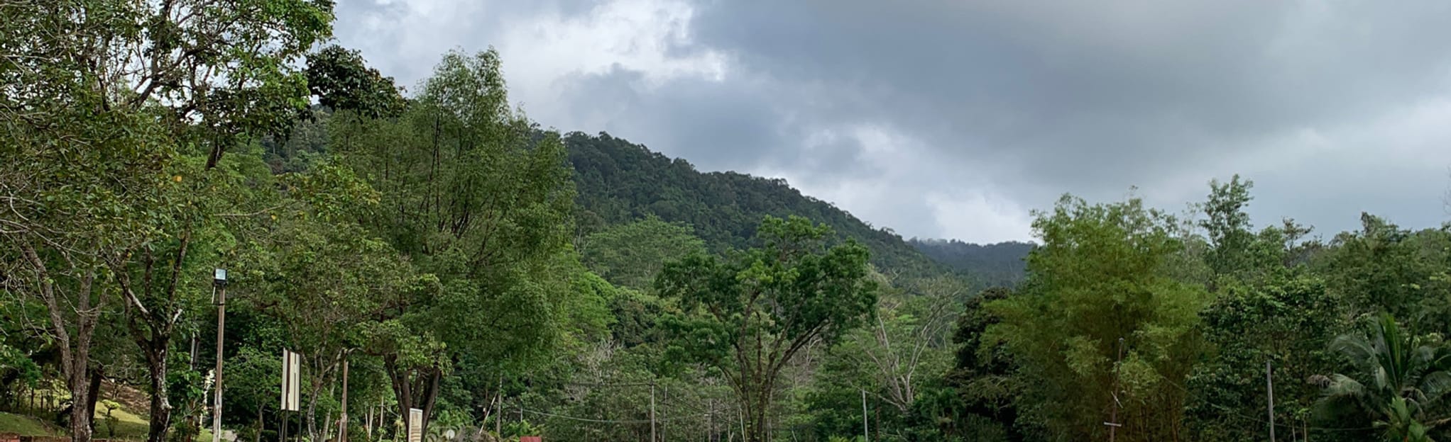 Puncak Gunung Muntahak: 5 Fotos - Johor, Malaysia | AllTrails