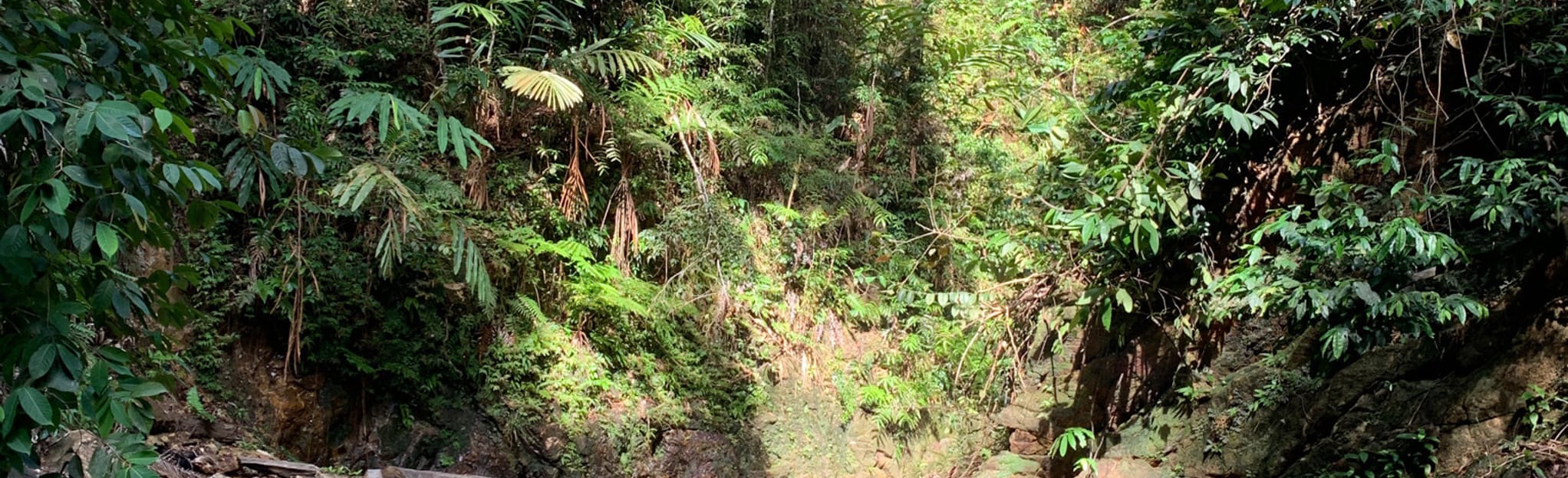 Gelung Gunung Muntahak - Airterjun Pelepah, Johor, Malaysia - 3 Reviews ...