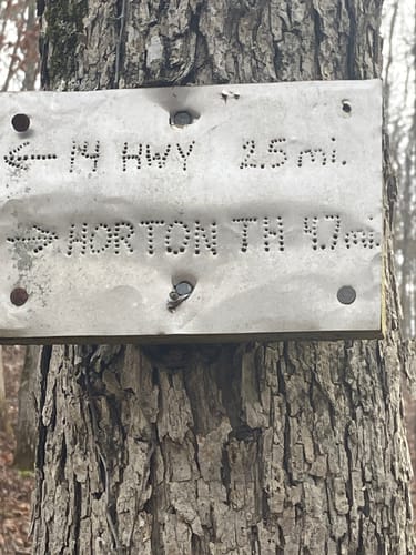 2023 Best Forest Trails in Devils Backbone Wilderness | AllTrails