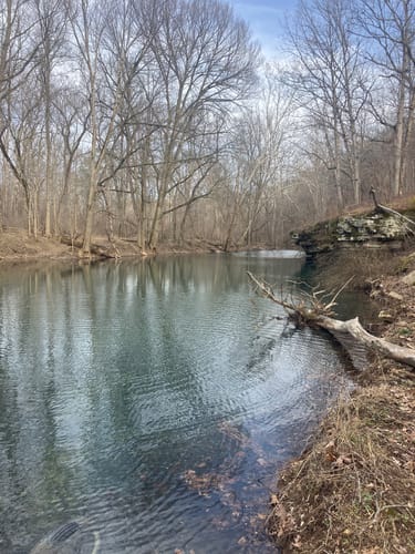 2023 Best Forest Trails in Devils Backbone Wilderness | AllTrails