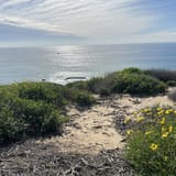 Dana Point Preserve Trail, California - 241 Reviews, Map | AllTrails