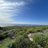 Dana Point Preserve Trail, California - 241 Reviews, Map | AllTrails