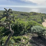 Dana Point Preserve Trail, California - 241 Reviews, Map | AllTrails