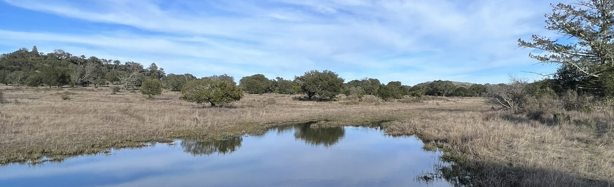 Sky Oaks, Elliot, and Bon Tempe Loop: 58 Reviews, Map - California ...