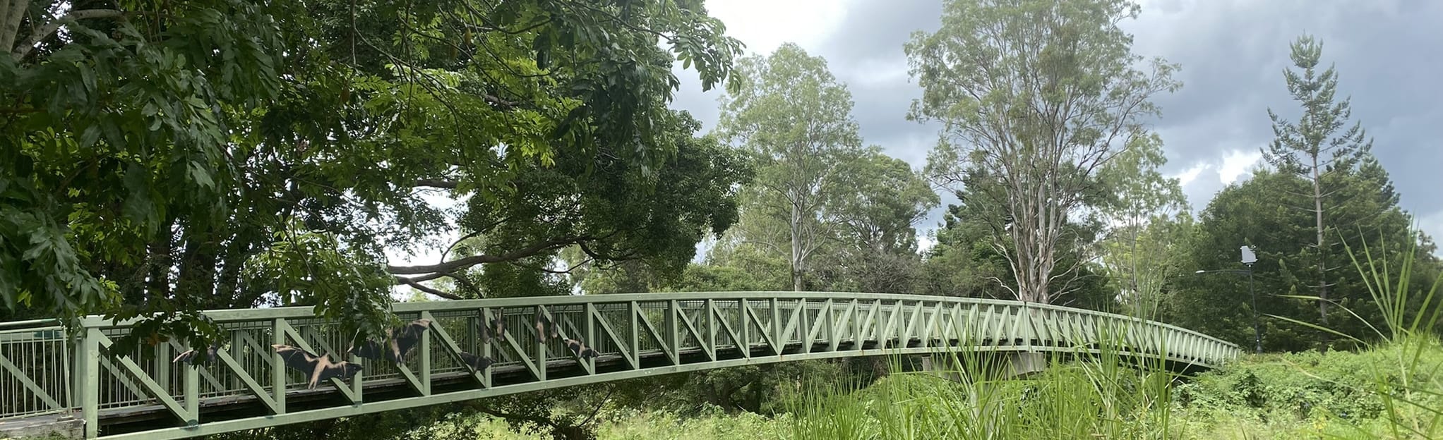 Bellevue Avenue Park to Shand Street Park via Kedron Brook Bikeway ...