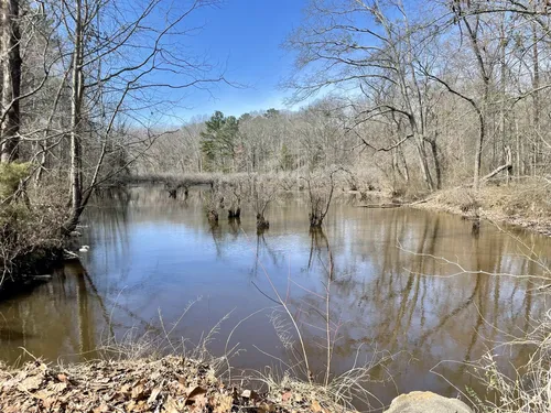 Best Hikes and Trails in Decatur | AllTrails