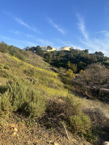 Best Hikes and Trails in Diamond Bar | AllTrails