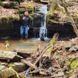 Mack's Pines East Side Loop, Arkansas - 30 Reviews, Map | AllTrails