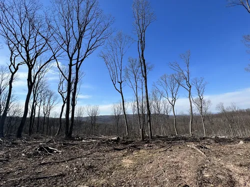 10 Best Hikes and Trails in State Game Lands Number 156 | AllTrails