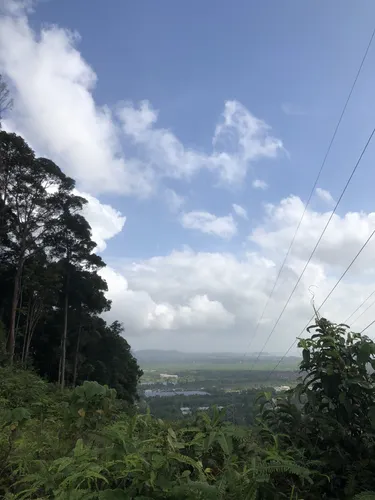 Best Hikes and Trails in Hutan Simpanan Bukit Bauk | AllTrails