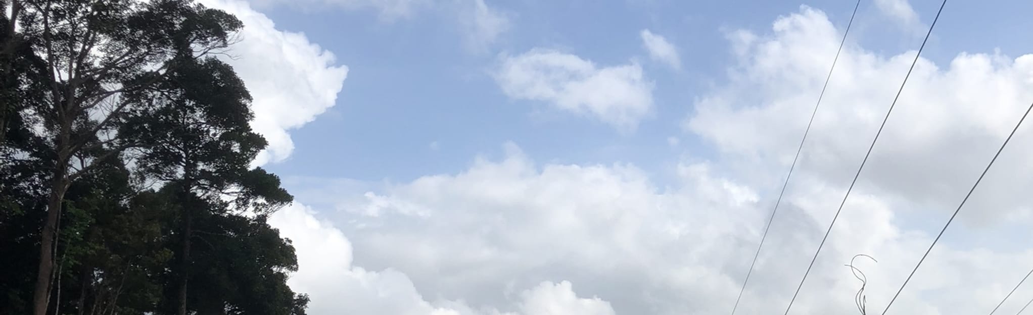 Bukit Bauk Peak, Trengganu, Malaysia - 26 Reviews, Map | AllTrails