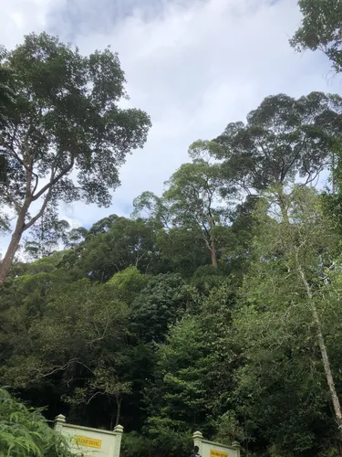 Best Hikes and Trails in Hutan Simpanan Bukit Bauk | AllTrails