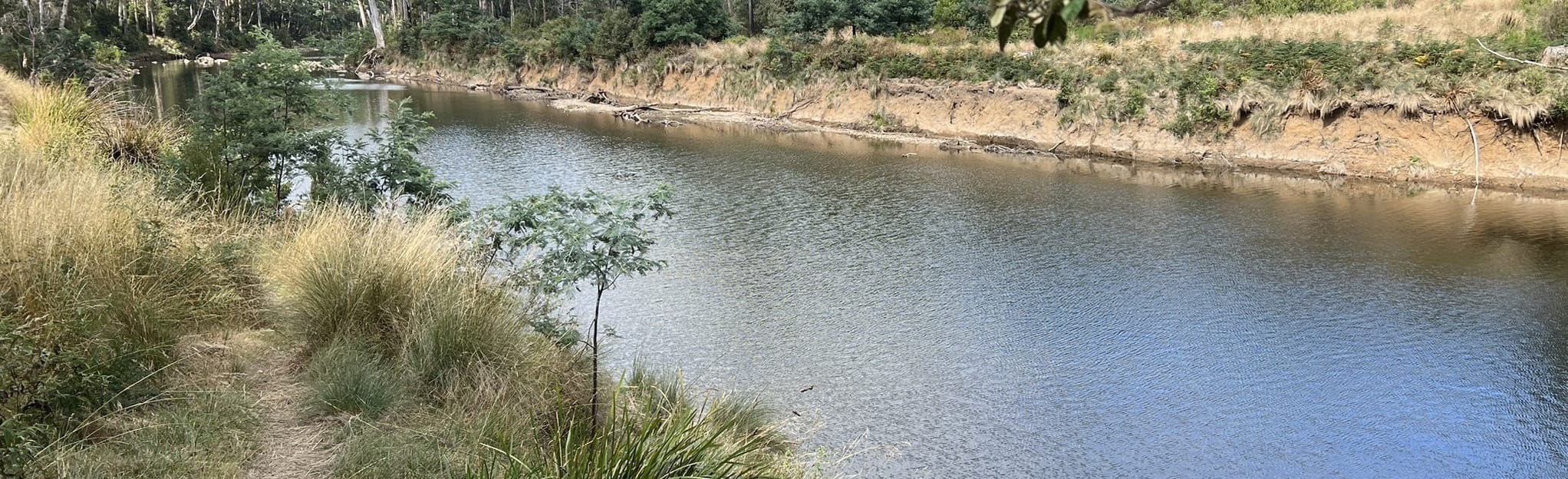 Warrawee Reserve Loop, Tasmania, Australia - 38 Reviews, Map | AllTrails