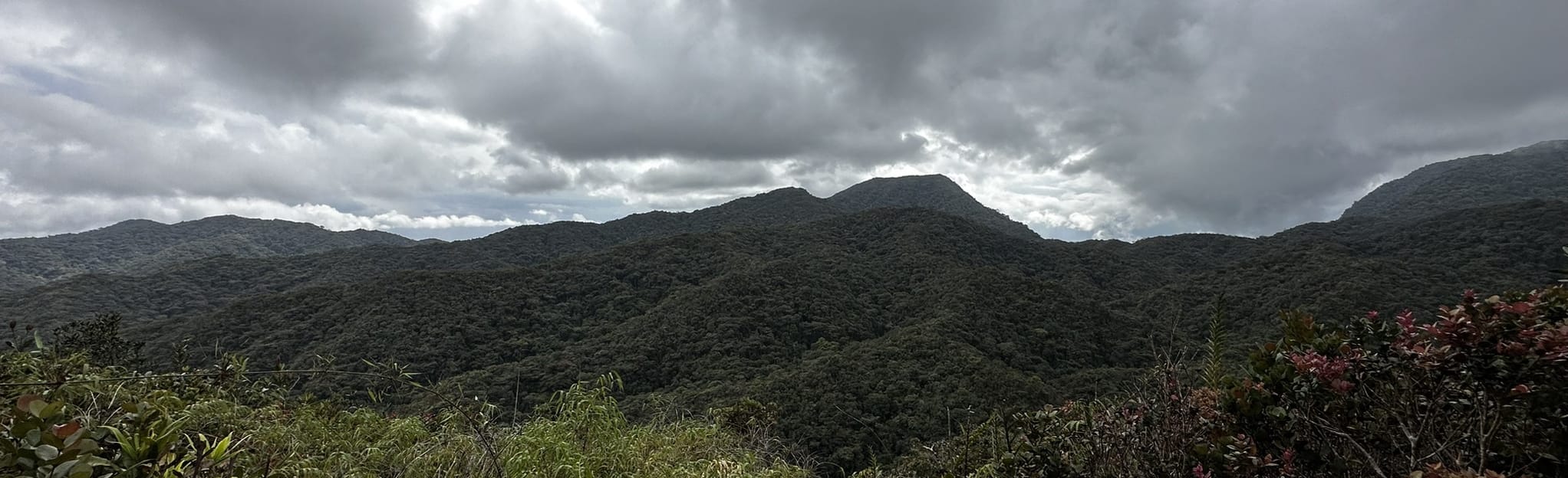 Gunung Yong Belar: 2 Reviews, Map - Pahang, Malaysia | AllTrails