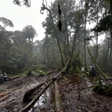 Gunung Yong Belar, Kelantan, Malaysia - 76 Reviews, Map | AllTrails