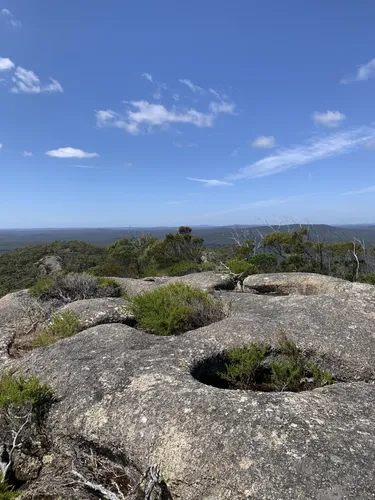 Best Hikes and Trails in Cameron Regional Reserve | AllTrails