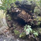 Prettyboy Reservoir Dam, Maryland - 589 Reviews, Map | AllTrails