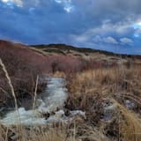 Towell Falls from Escure Ranch, Washington - 207 Reviews, Map | AllTrails