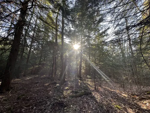 Best Hikes and Trails in Grover | AllTrails