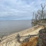 Neusiok Trail Northern Half, North Carolina - 168 Reviews, Map | AllTrails