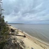 Neusiok Trail Northern Half, North Carolina - 168 Reviews, Map | AllTrails