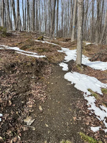Best Hikes and Trails in Coolidge State Park | AllTrails