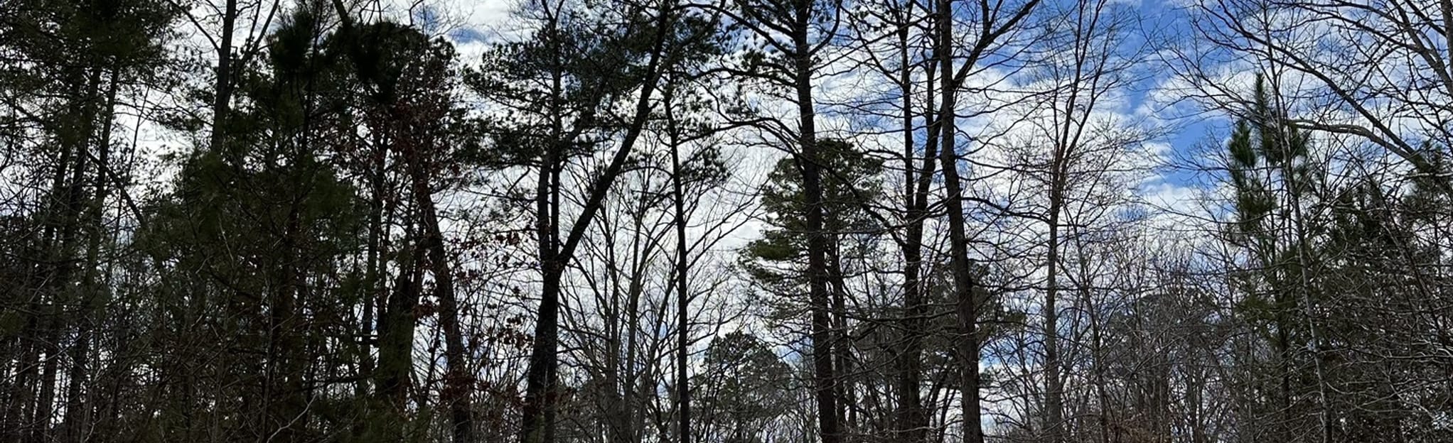 AllTrails | Parallel Trail: 152 Reviews, Map - Virginia