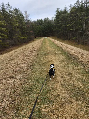 Best Lake Trails in Johnson City | AllTrails