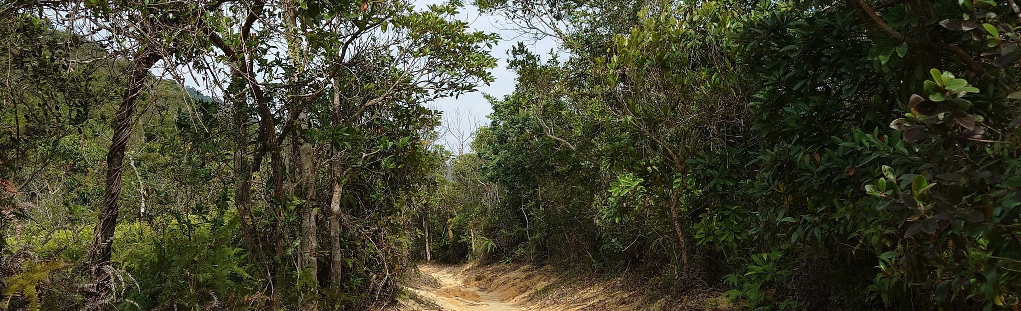 AllTrails | Pak Tam Country Trail: 5 Reviews, Map - Sai Kung, Hong Kong