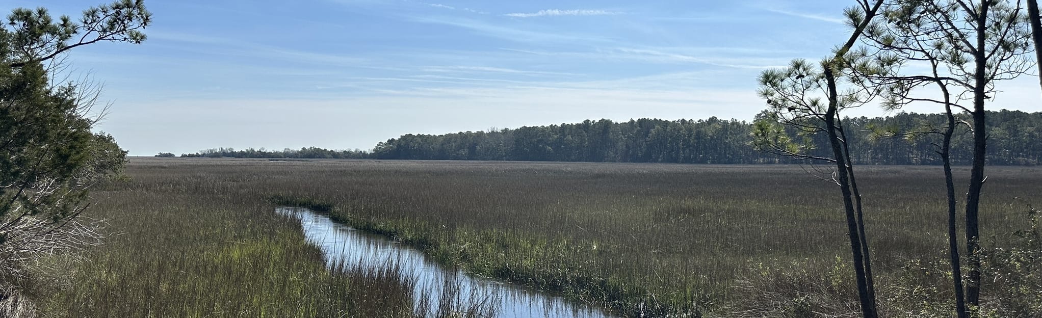 Palmetto Trail Swamp Fox Passage, South Carolina - 196 Reviews, Map ...