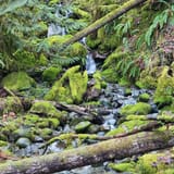 Maple Valley Loop, Washington - 230 Reviews, Map | AllTrails
